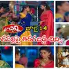 Chinni Serial,Chinni Serial Today జూలై 14 ఎపిసోడ్: నాగవల్లిని ...