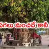 మూఢనమ్మకాలు,రాత్రి పూట పెళ్లికాని ఆడపిల్లలు రావి చెట్టు దగ్గరికి ...
