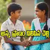 Sister Save Brother Life,HYD: చెల్లి త్యాగంతో అన్నకు కొత్త జీవితం ...