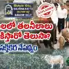 Tirumala Kalyanakatta,తిరుమలలో తలనీలాలు ఎందుకిస్తారు.. ఒక ‘ఆవు’ కారణమని ...