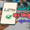 Upi Collect Request,UPI వాడుతున్నవారికి అలర్ట్.. అక్టోబర్ 1 నుంచి ఆ ...