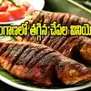 Telangana People Eating Less Fish,తెలంగాణోళ్లు చేపల్ని తింటలేరు ...