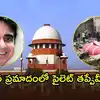 Air India Crash Pilot Fault,'మీ కొడుకు తప్పేమీ లేదు.. ఆ భారం మీరు ...