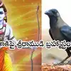 Ramayana,Ramayana కాకి ఒక కన్నుతోనే ఎందుకు చూస్తుంది? శ్రీరాముడు కాకిపై ...