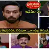 Brahmamudi Serial,Brahmamudi Today జనవరి 21 ఎపిసోడ్: డీఎన్ఏ టెస్ట్‌కు ...