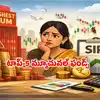 Nippon India Small Cap Fund,Mutual Funds: డబ్బులే డబ్బులు.. 10 ఏళ్లలో ...