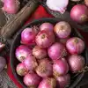 Is Black Fungus Onion Unsafe,ఉల్లిపాయలపై నల్లటి బూజు పడితే ప్రమాదకరమా ...