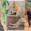 Kakinada Tuni Gnaneswari Missing Case Updates,కాకినాడ జ్ఞానేశ్వరి కేసు ...