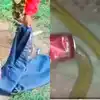 Viral Video,Video: బీర్ కేన్‌లో ఇరుక్కున్న నాగుపాము తల.. ఎలా కాపాడారంటే ...