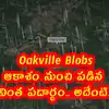 Oakville Blobs,Oakville Blobs: ఆకాశం నుంచి పడిన వింత పదార్థం.. అదేంటి ...