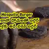 Mosquito Cakes,Mosquito Burger: ఆఫ్రికాలో దోమలతో బర్గర్.. వాళ్లకు అదే ...