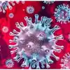 New Covid variant ERIS Virus Found in India: ஆபத்து ...