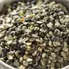 Urad Dal For Bone Health : எலும்புகள் வலிமையாக இருக்க 5 உளுந்து ...