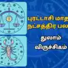Thulam Viruchigam Purattasi Matha Natchathira Rasi Palan: புரட்டாசி ...