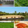 Kutty Kerala in one day trip : வந்தாச்சு லீவு...சேலத்தில் உள்ள குட்டி ...
