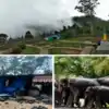 மேயர் பாயிண்ட்,திண்டுக்கல்; கொடைக்கானலில் இந்த பகுதிகளுக்கு செல்ல ...