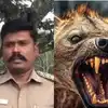 Leo Hyena: பயங்கரமானவன் தான்.. ஆனால் கண்ணியமானவன்.. கழுதை புலிகளை பற்றி ...