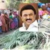 Pongal Parisu Thoguppu Token பொங்கல் பரிசும் 1000 ரூபாய் ரொக்கமும் ...