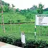 Sayan CBCID investigation for Kodanad Case: கொடநாடு கொலை கொள்ளை வழக்கு ...