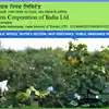 The Cotton Corporation Of India Recruitment,Central Govt Job Alert ...