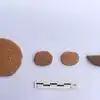 cuddalore marungur archaeological excavation : கடலூர் மருங்கூர் ...