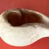 full shaped conch found in vembakottai excavation : வெம்பக்கோட்டை ...