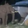 elephant damage crops in coimbatore : கோவை அருகே தோட்டத்தில் புகுந்த ...