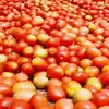 Tomato Prices Increase In Koyambedu - கோயம்பேடு சந்தையில் தக்காளி விலை ...