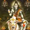 significance of nandi worship : நந்தியின் காதில் வேண்டுதலை சொல்லலாமா ...