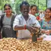 Bengaluru Kadalai kai Festival Malleswaram Temple: பெங்களூரு கடலைக்காய் ...