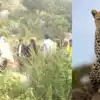 Bengaluru Woman killed In Leopard Attack: பெங்களூருவில் பகீர்! சிறுத்தை ...
