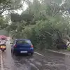 cyclone winds tree fell down in kanchipuram : பலத்த புயல் காற்று ...