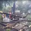 tree fallen down traffic jam at mettupalayam ooty road-மேட்டுப்பாளையம் ...
