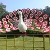 puducherry botanical garden flower show 2025 : புதுச்சேரி தாவரவியல் ...