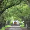 பொள்ளாச்சி மாவட்டமாக அறிவிக்கப்படுமா? வலுக்கும் கோரிக்கை! - valparai ...