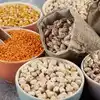 Minimum Support Price,பருப்பு உற்பத்தி அதிகரிப்பு.. குறைந்தபட்ச ஆதரவு ...