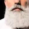 How To Darken a White Beard: உங்க தாடி நரைச்சிடுச்சா? வீட்டு வைத்தியம் ...