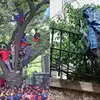 Bengaluru Cubbon Park Damaged in June 4 Celebration Stampede ...