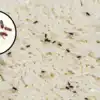 Best Ways And How To Store Rice Long-Term Without Insects Or Bugs ...