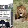 வண்டலூர் பூங்காவில் இருந்த சிங்கம் மாயம்..சுற்றுலாப் பயணிகள் அச்சம் ...