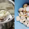7 Easy Tricks To Remove Onion And Garlic Smell From The Mixer Jar ...