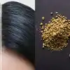 How To Make Kadukkai Sooranam And Ways To Intake For Turn Your Hair ...