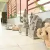 புதிய இடத்திற்கு மாறிய பின் பராமரிப்பின்றி தவிக்கும் கோவை அரசு ...