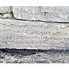 கண்ணகி கோவிலில் பழங்கால கல்வெட்டு Pandiyan Dynasty Inscription Found ...