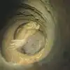 Surjith In Borewell,பாறைகள் இருப்பதால் குழி தோண்டும் பணியில் சிரமம் ...