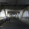 ஆசியாவின் முதல் பாலம்: நெல்லை மக்களே... இதுவும் உங்க ஊர்தான் - all you ...
