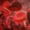 Ratha Putrunoi Arikurigal,world cancer day 2021: லுகேமியா எனும் இரத்த ...
