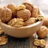 Benefits Of Walnut In Tamil,புற்றுநோய், நீரிழிவு வராம இருக்கணுமா? தினம் ...
