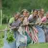 Kani Tribe People Documentary,'காணி பழங்குடிகள்' - மேற்கு தொடர்ச்சி மலை ...
