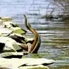 Vattamalalai Karai Odai,வட்டமலைக்கரை ஓடையால் நிகழ்ந்த சுற்றுச்சூழல் ...